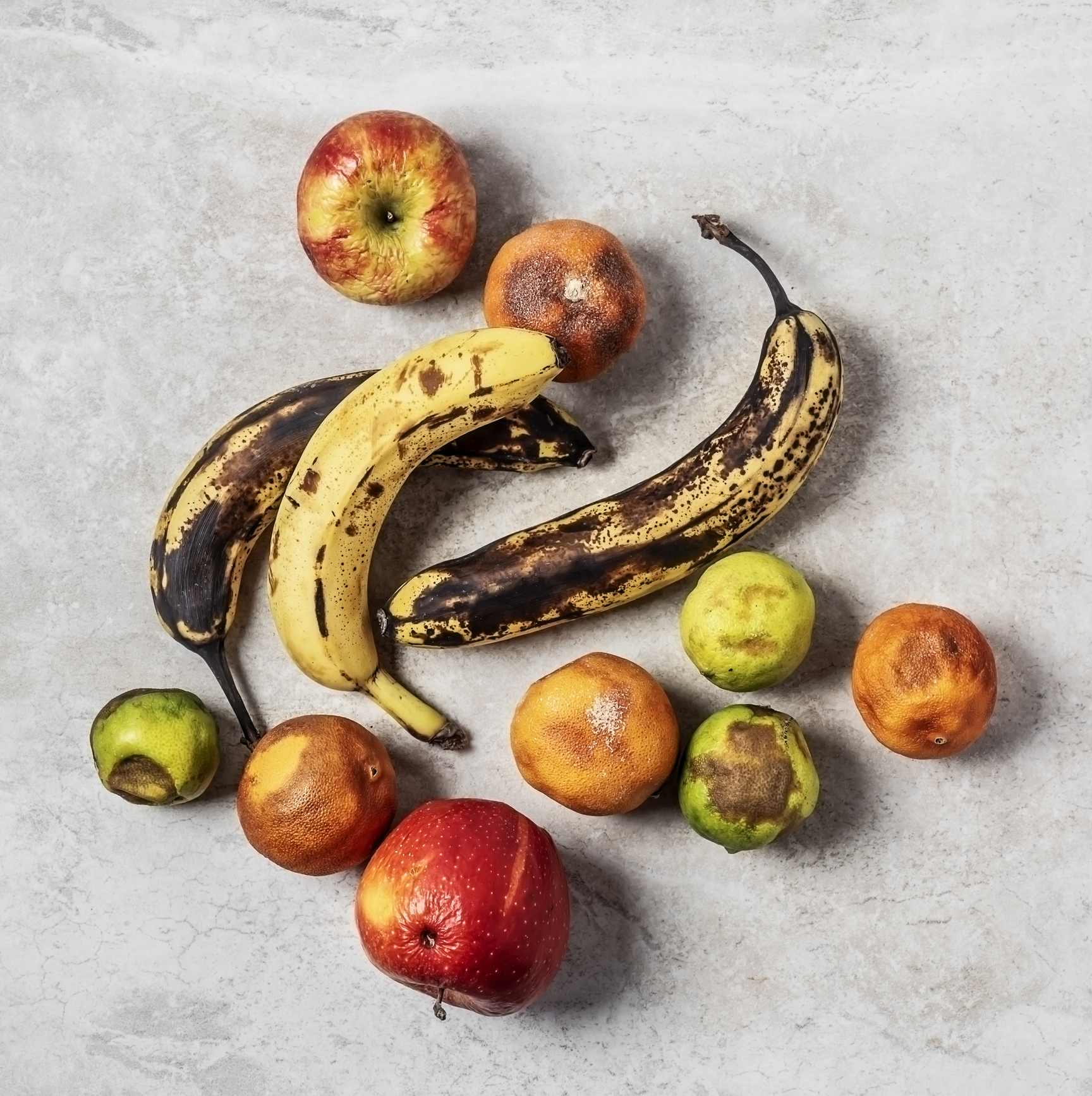 Fight Wasted Food | Divert